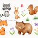 Watercolor Woodland Animals Clipart Graphics, Forest Baby Animal Clip ...