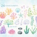 Watercolor Sea Animals Clipart Cute Ocean Baby Animals PNG - Etsy