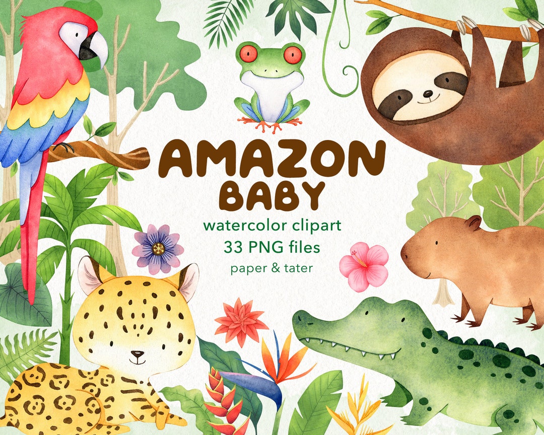 Amazon Rainforest Animals Collage