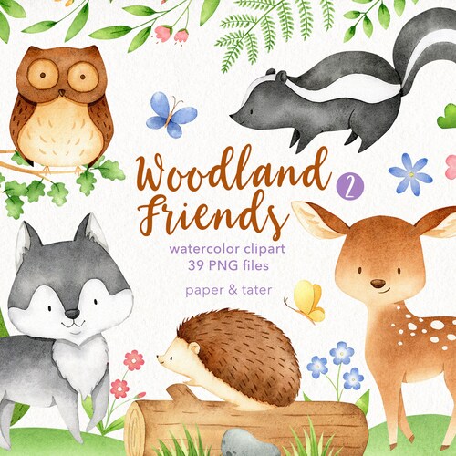 Watercolor Forest Baby Animals Clipart. Woodland Nursery Clip - Etsy