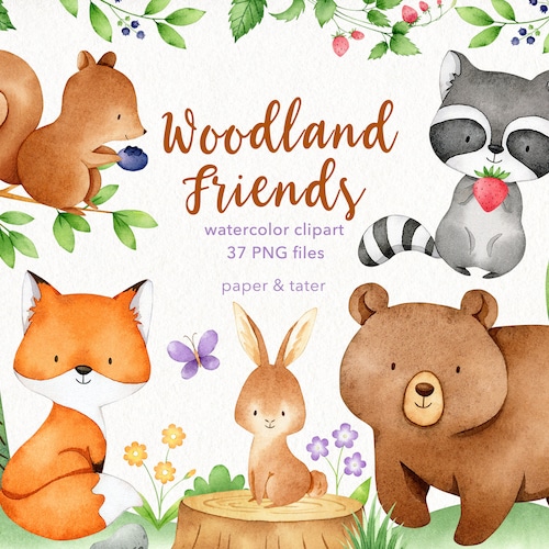 Baby Fox Watercolor Clipart Woodland Animal PNG FREE - Etsy