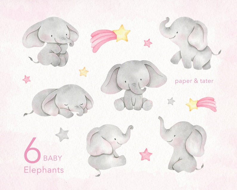 Watercolor Pink Baby Elephant Clipart Graphics Cute Baby Girl - Etsy