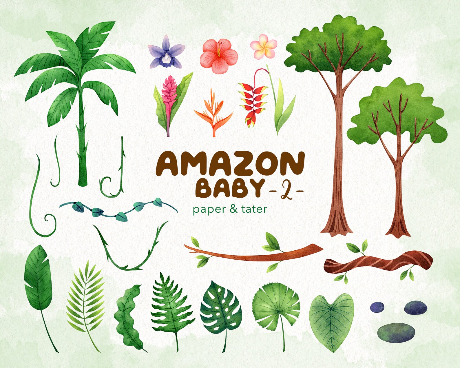 Watercolor Amazon Baby Animals 2 Clipart Tropical Rainforest - Etsy
