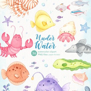 Underwater Animals Watercolor Clipart, Under Sea Baby Animals PNG - Etsy