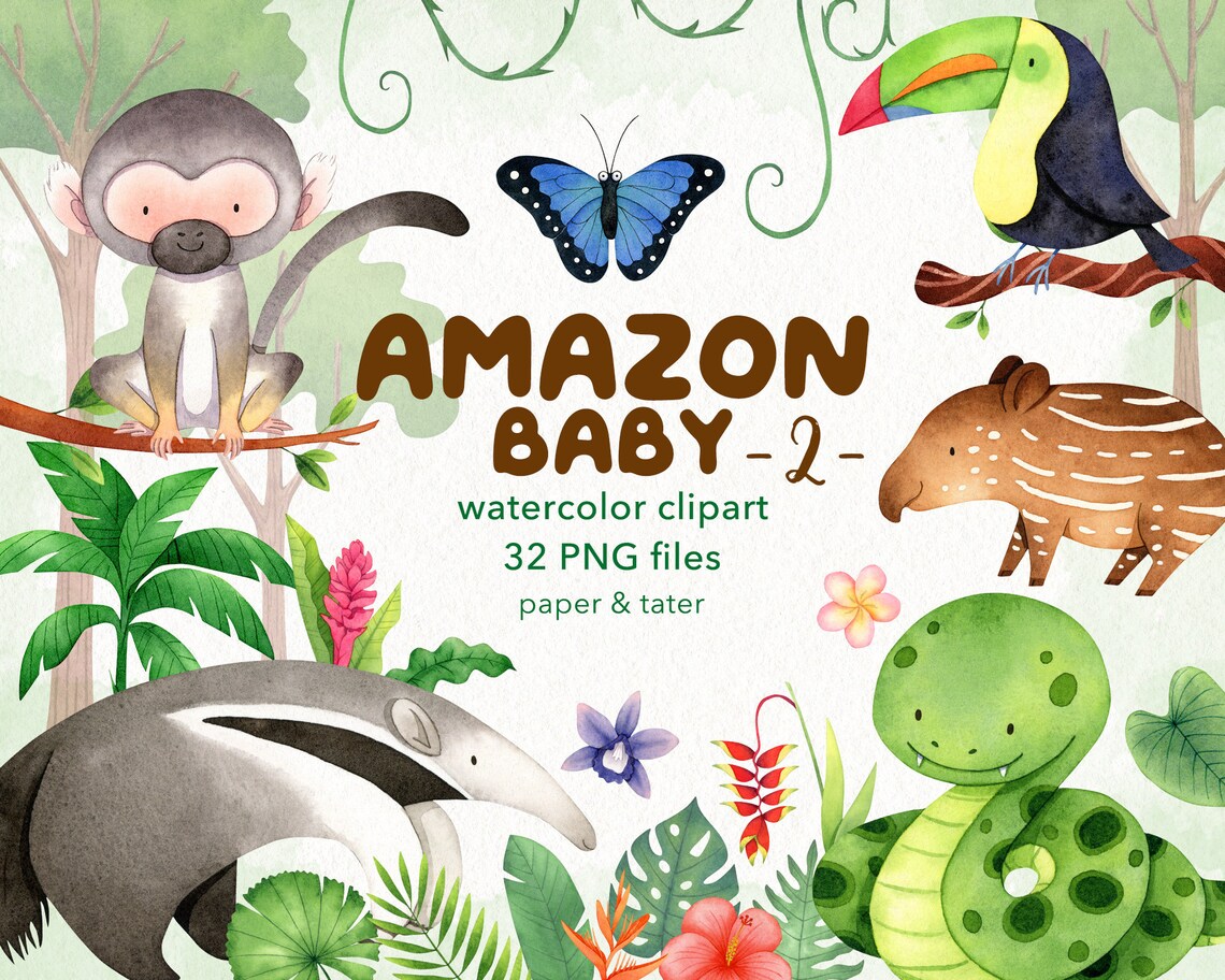 Watercolor Amazon Baby Animals 2 Clipart Tropical Rainforest - Etsy