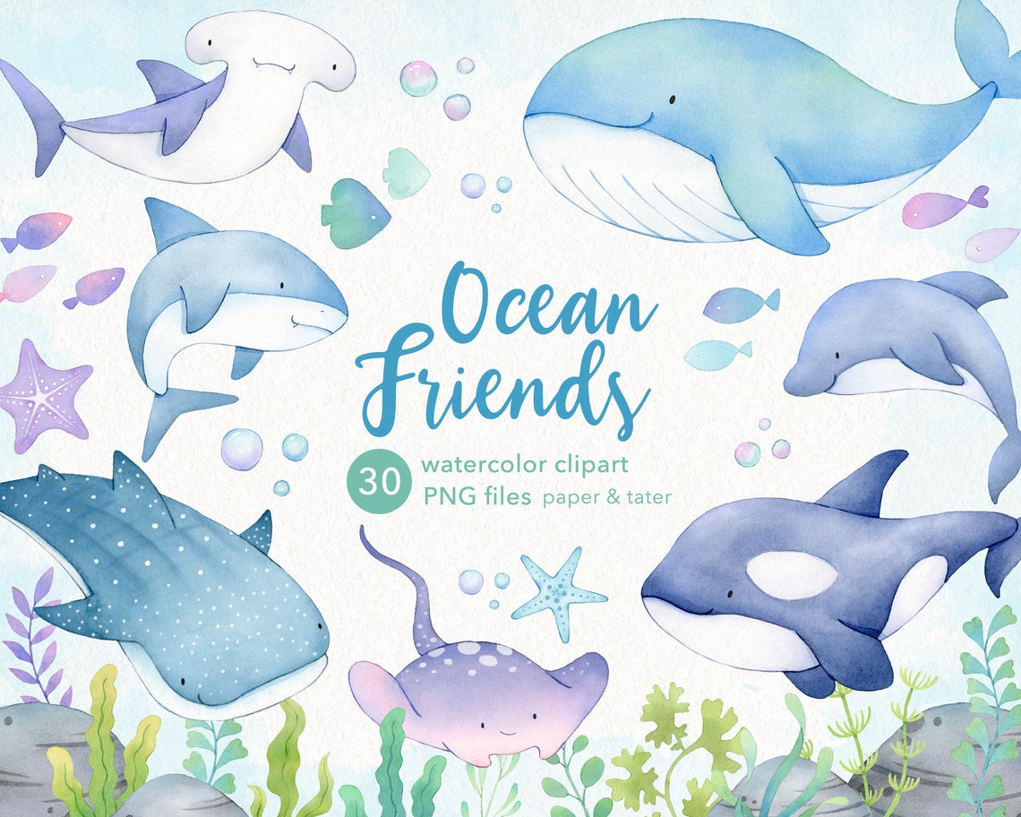 Whales and Sharks Watercolor Clipart Cute Ocean Animals PNG - Etsy