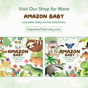 Watercolor Amazon Baby Animals 2 Clipart, Tropical Rainforest Animals ...