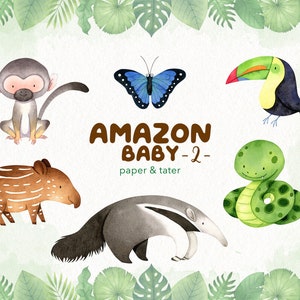 Watercolor Amazon Baby Animals 2 Clipart, Tropical Rainforest Animals ...