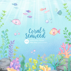 Coral and Seaweed Watercolor Clipart, Underwater Scene, Ocean Life PNG ...
