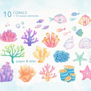 Coral and Seaweed Watercolor Clipart, Underwater Scene, Ocean Life PNG ...