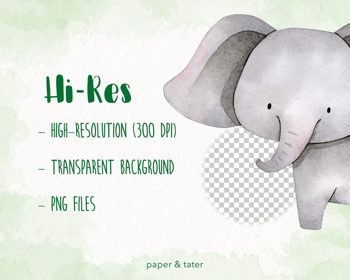 Watercolor Safari Baby Animals Clipart Graphics African | Etsy