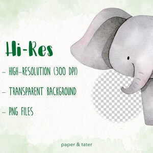 Watercolor Safari Baby Animals Clipart Graphics, African Animals ...