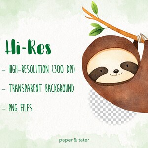 Watercolor Amazon Baby Animals Clipart, Tropical Rainforest Animals ...