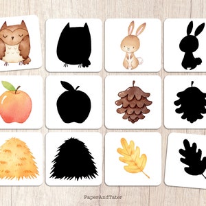 Fall Shadow Matching Cards, Autumn Matching Game, Fall Preschool ...