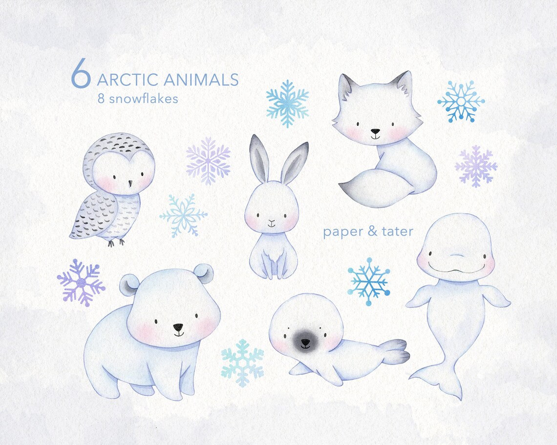 Arctic Animals Watercolor Clipart Winter Woodland PNG | Etsy