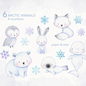 Arctic Animals Watercolor Clipart, Winter Woodland PNG - Etsy