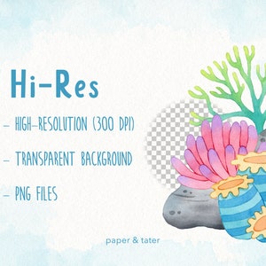 Coral and Seaweed Watercolor Clipart, Underwater Scene, Ocean Life PNG ...