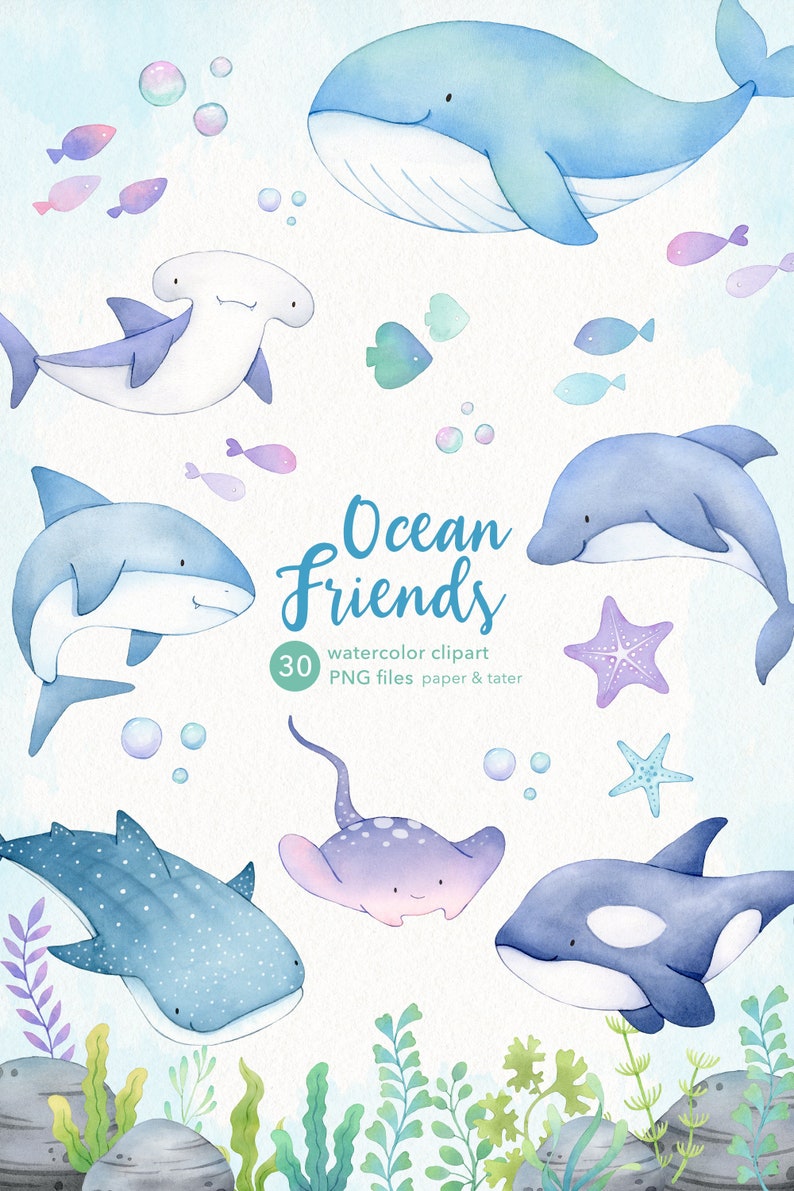 Whales and Sharks Watercolor Clipart Cute Ocean Animals PNG - Etsy