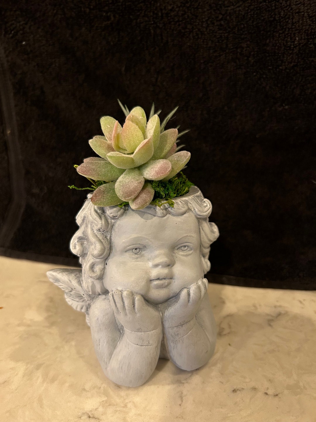 Cement Cherub Planter With Succulents - Etsy