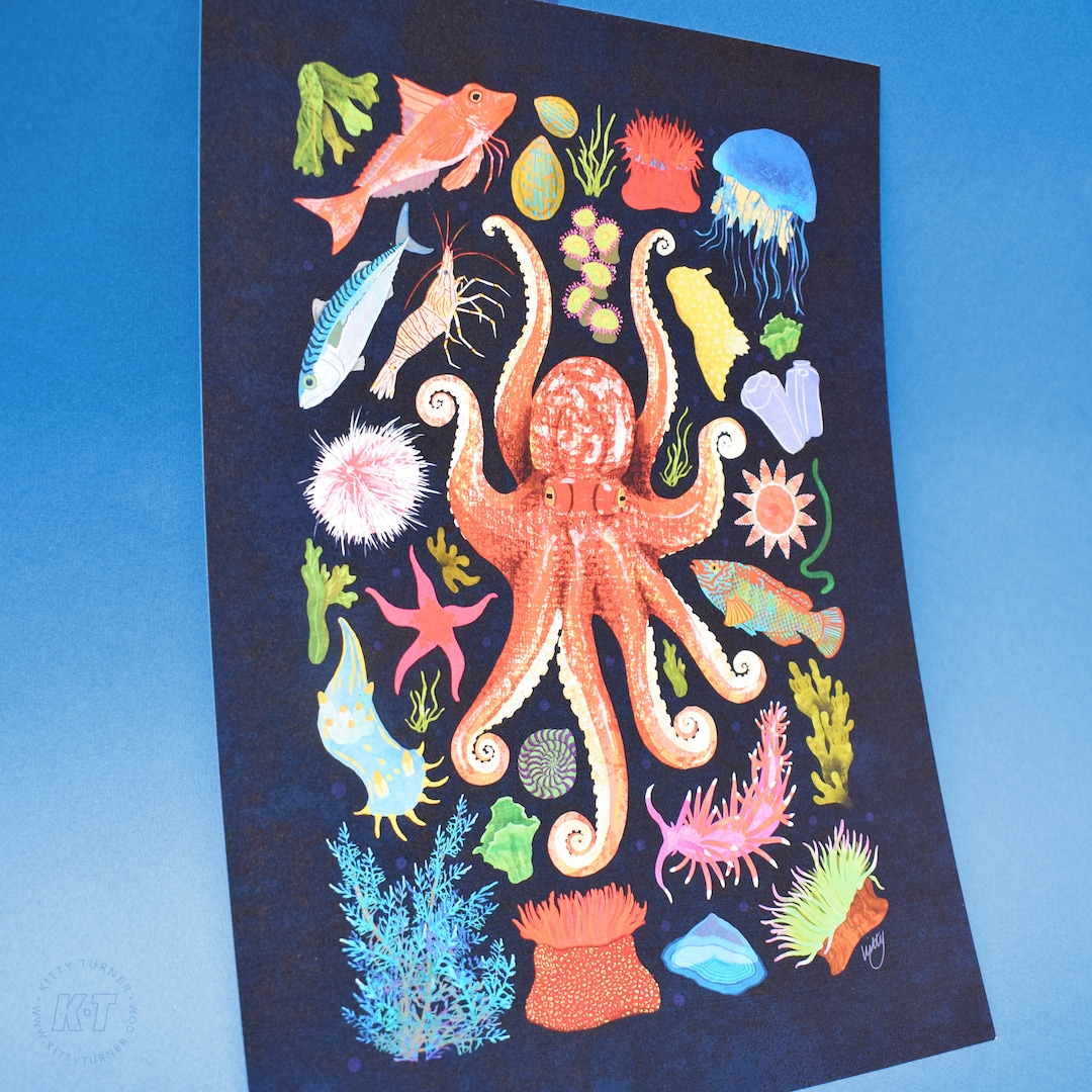 A4 Colourful British Marine Life Illustration Print Sea Creatures ...