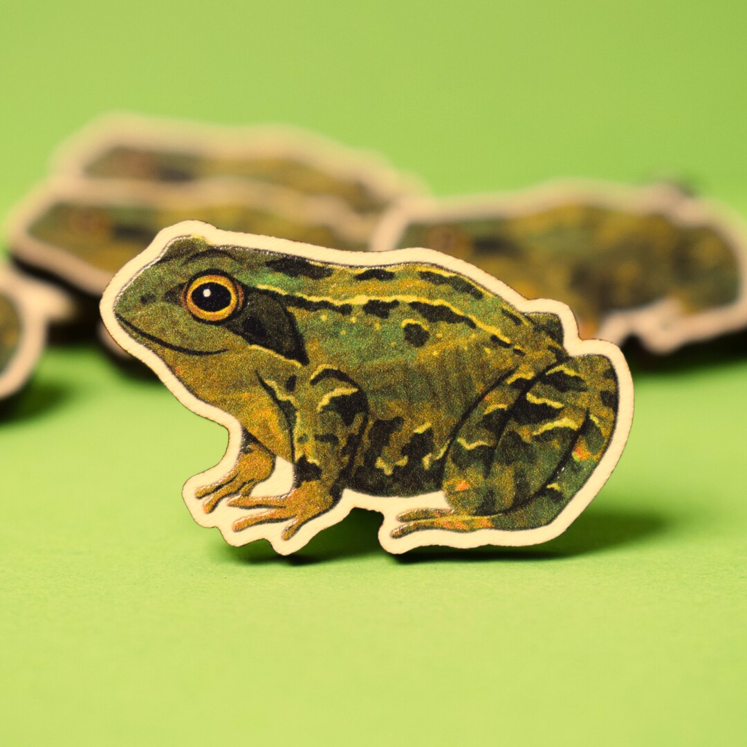 Happy Frog Eco Wooden Pin Badge British Wildlife - Etsy