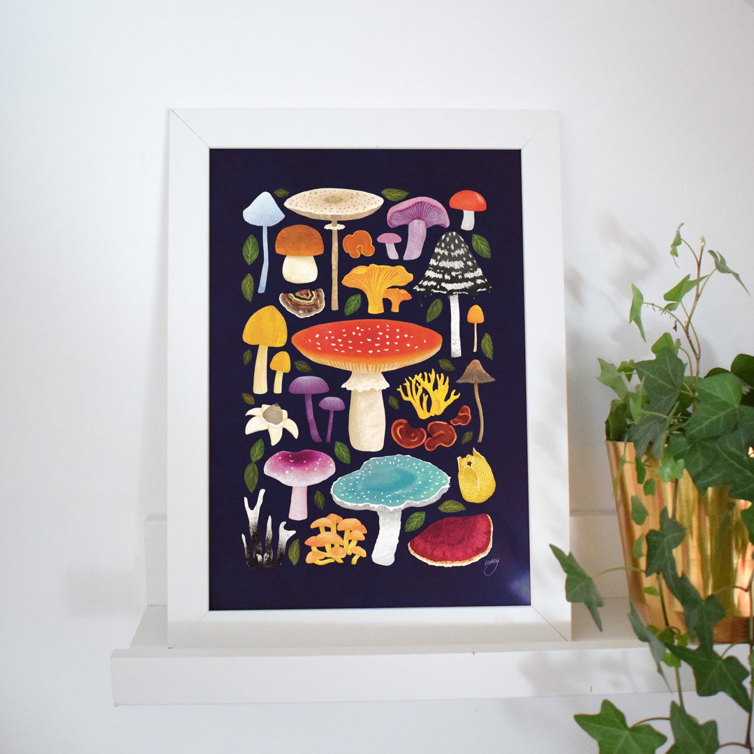 A4 A3 British Fungi Mushroom Collage Illustration Print - Etsy