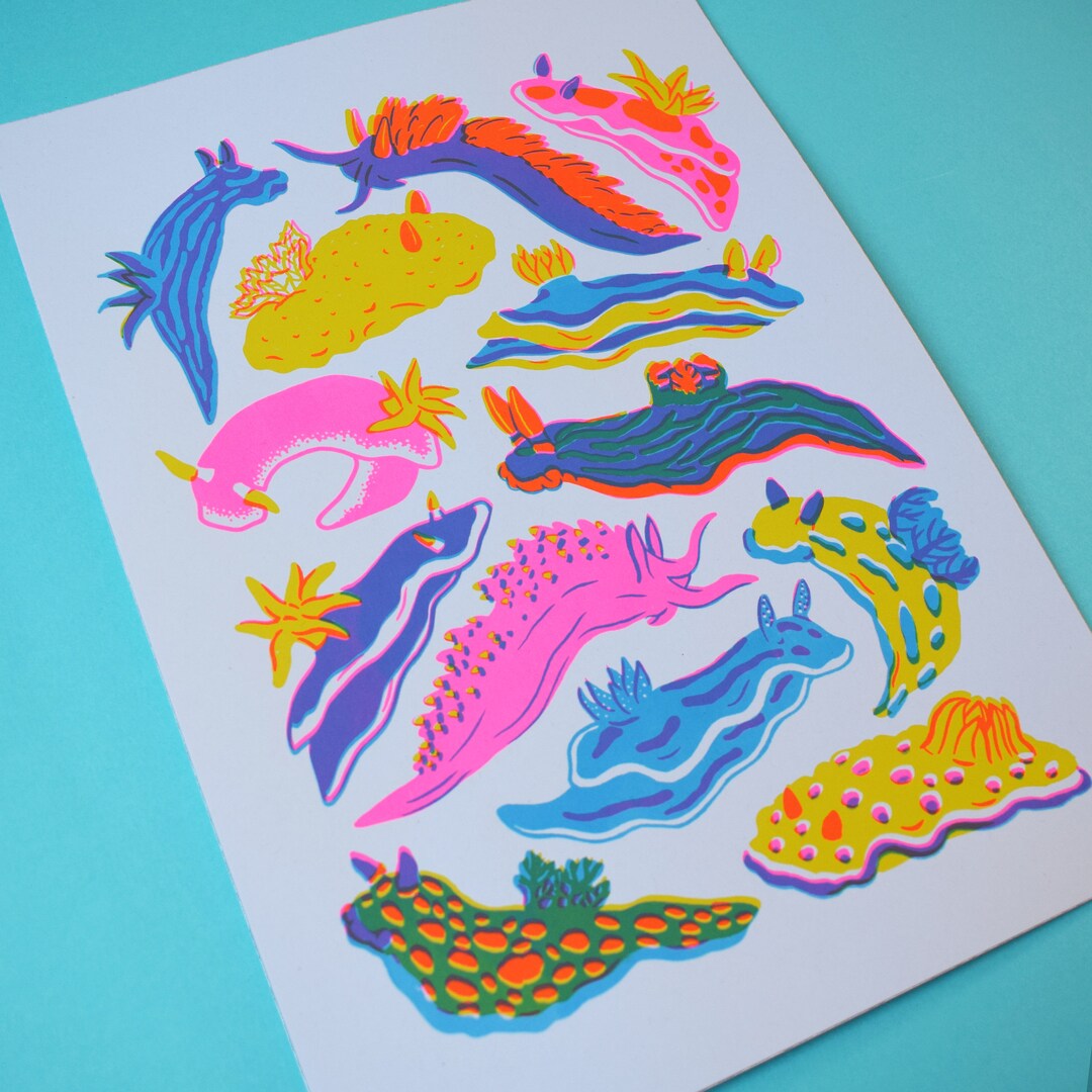 Sea Slug A4 Screen Print, Colourful Handmade Nudibranch Print - Etsy UK