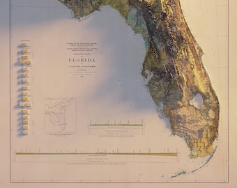 Geologic Map Florida Florida Geology Etsy