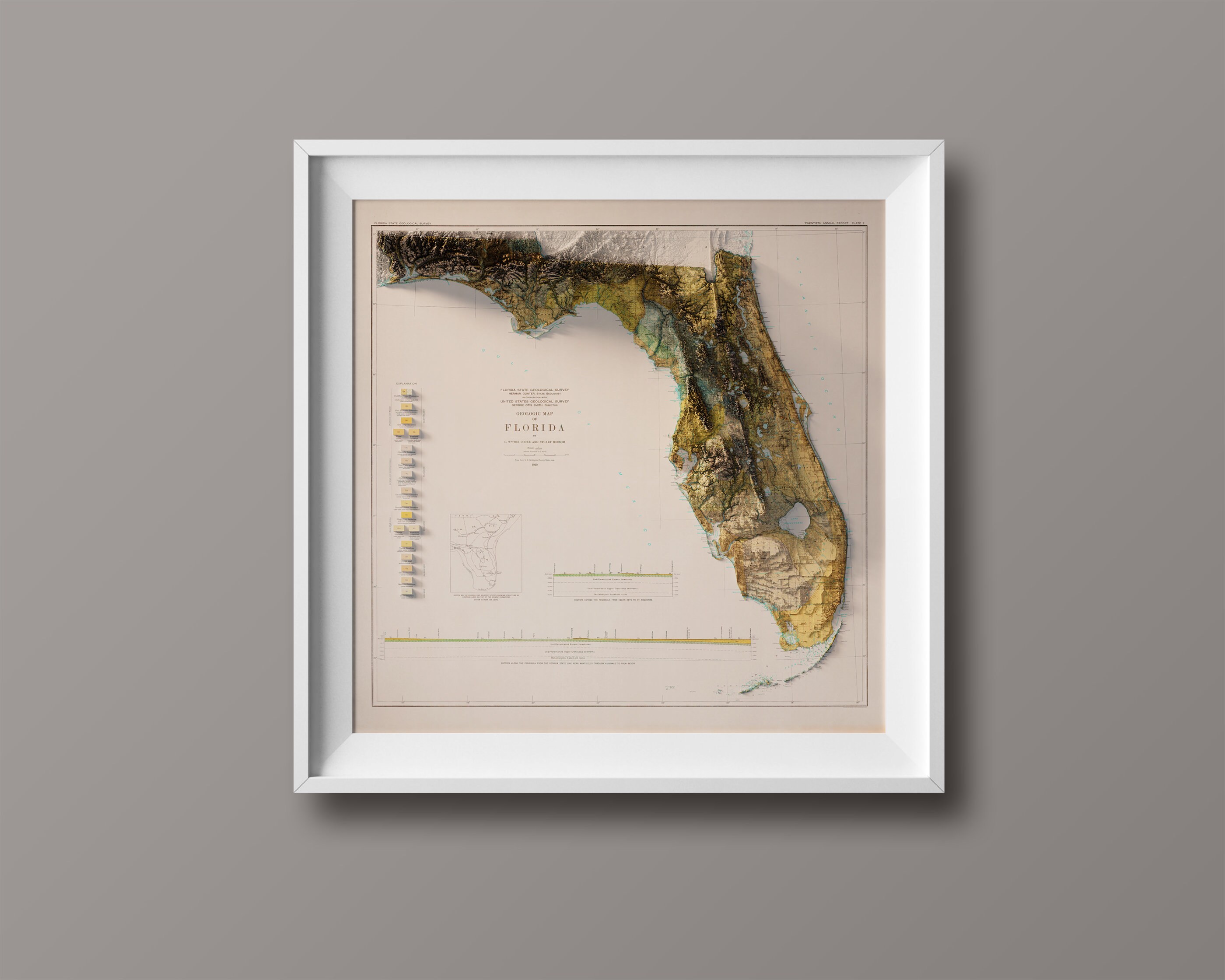 Florida Geologic Map Legend