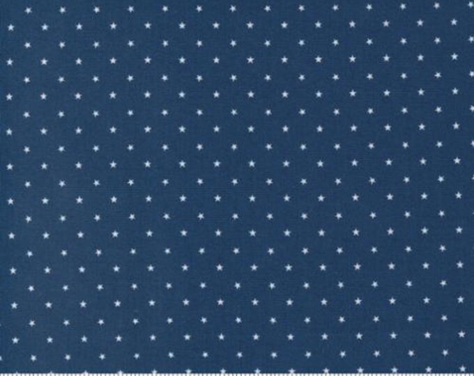 Spotted Zen Grey 1660 87 Moda - Etsy
