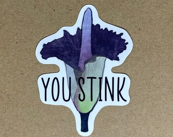 You Stink - Etsy