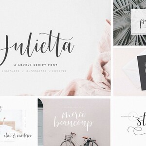 Modern Script Font BUNDLE, Calligraphy Font, Handwritten Script Font ...