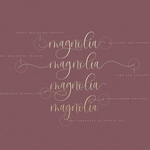 Sangria Script Font, Calligraphy Font, Handwritten Script Font, Cricut ...