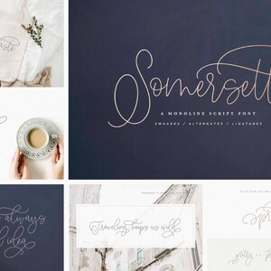 Modern Script Font BUNDLE, Calligraphy Font, Handwritten Script Font ...