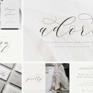 Modern Script Font BUNDLE, Calligraphy Font, Handwritten Script Font ...