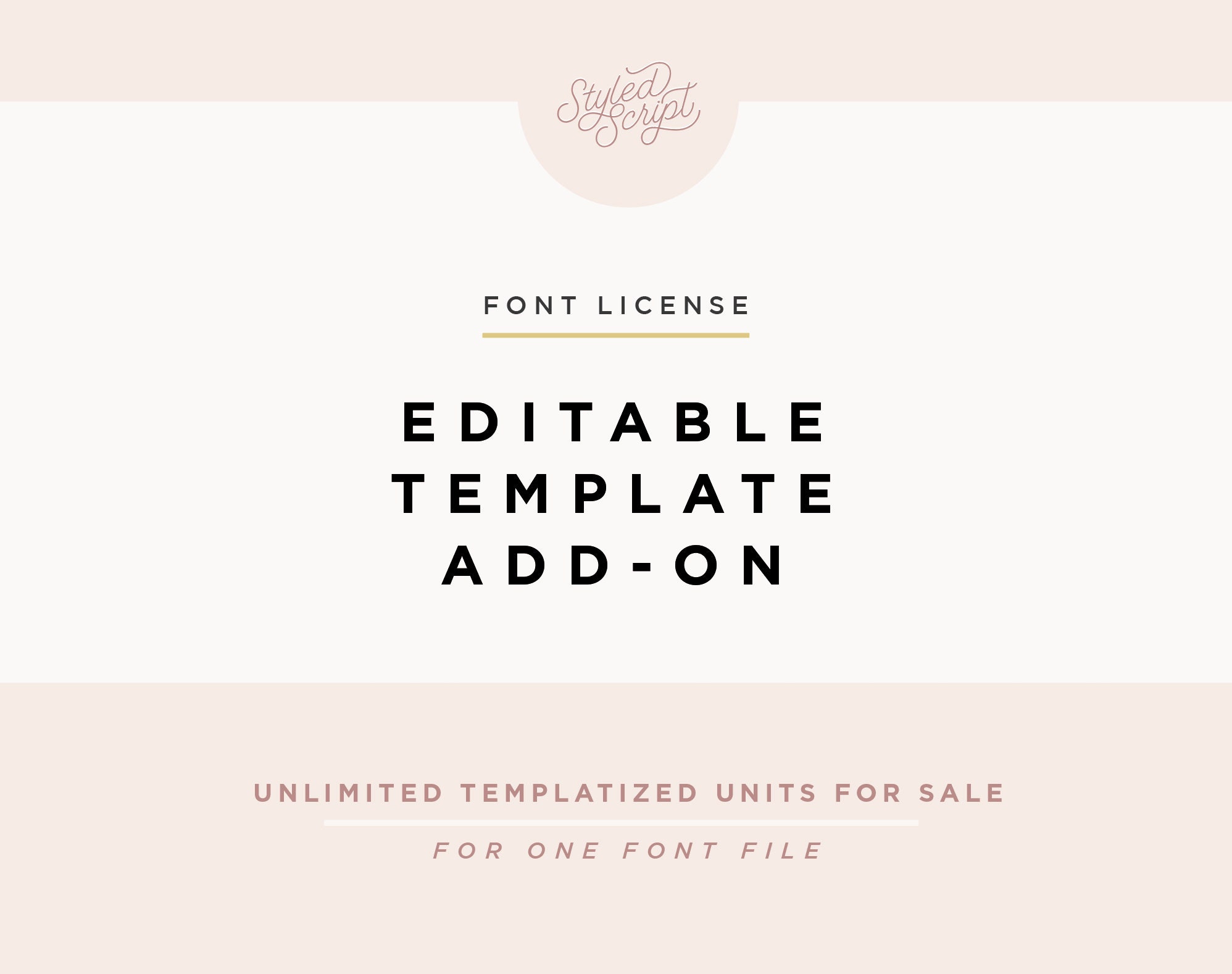 Editable Template Add-on License for 1 Font, Commercial Use of ...