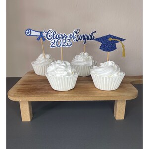 Graduation Cupcake Toppers, Set of 12, Party Decorations for ...
