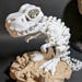 Flexi T Rex Dinosaur Skeleton Toy - Etsy