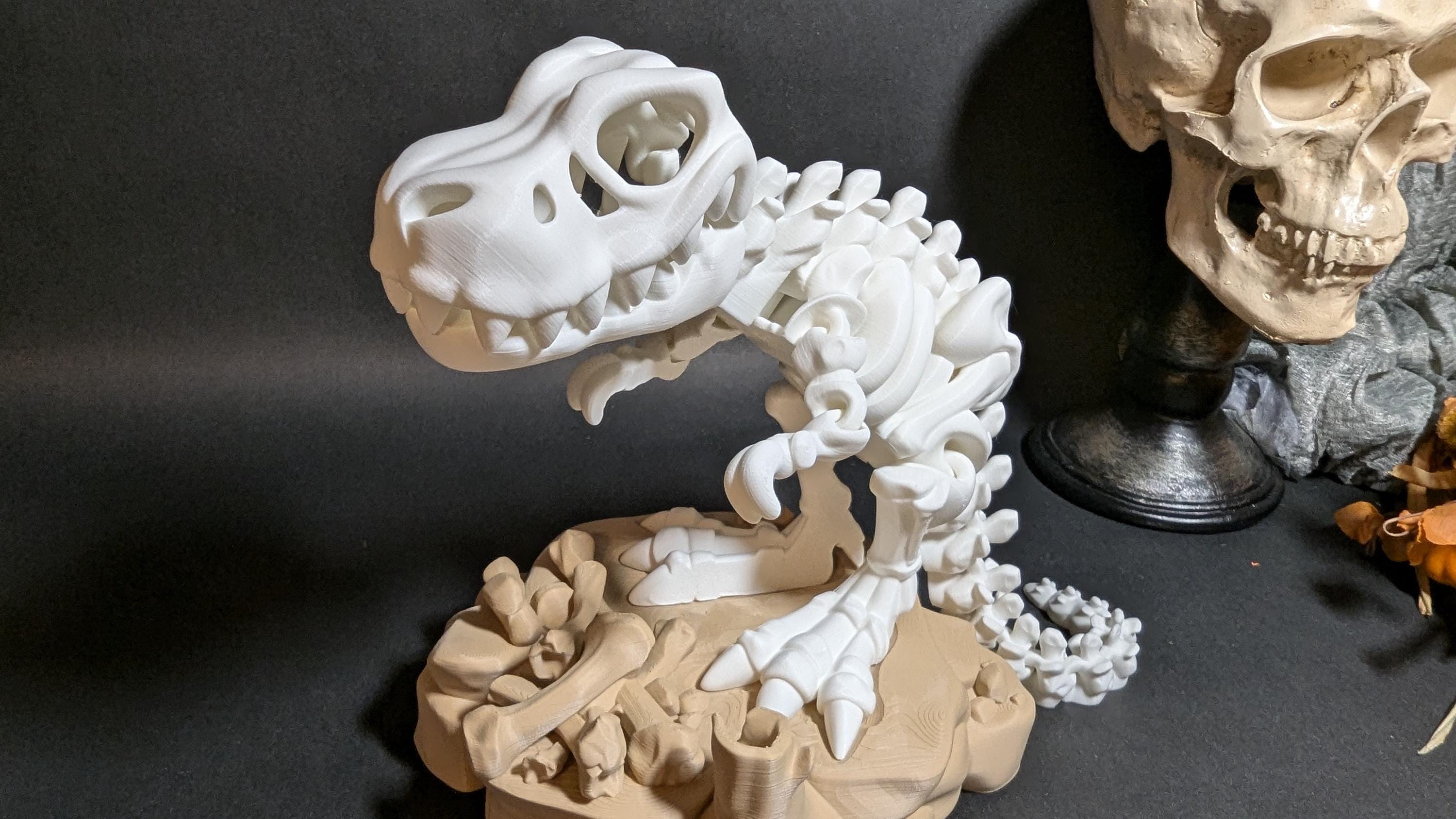 Flexi T Rex Dinosaur Skeleton Toy - Etsy