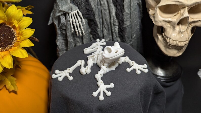 3D Printed Articulated Flexi Skeleton Frog - Etsy