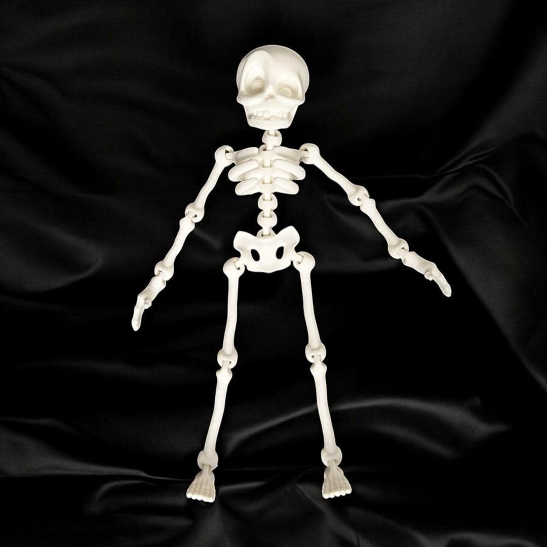 Articulated Skeleton Desk Toy or Wall Decoration, 3D Printed to Order ...