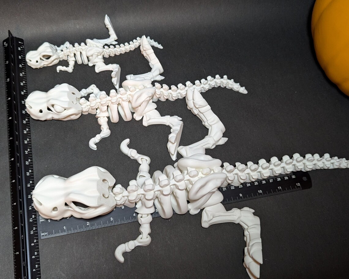Flexi T Rex Dinosaur Skeleton Toy - Etsy