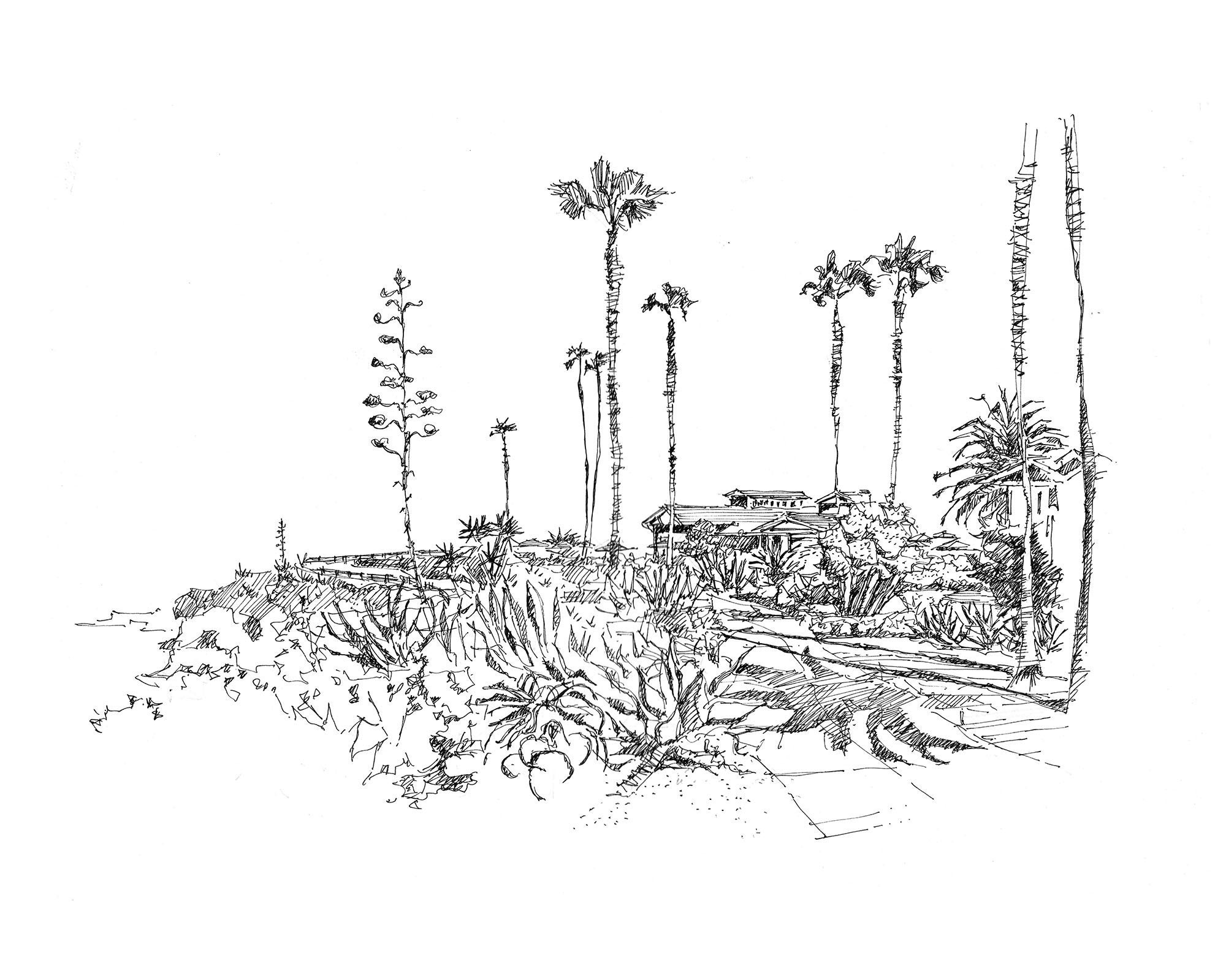 Laguna Beach Coastline, California Art Prints, Plein Air Pen and Ink ...
