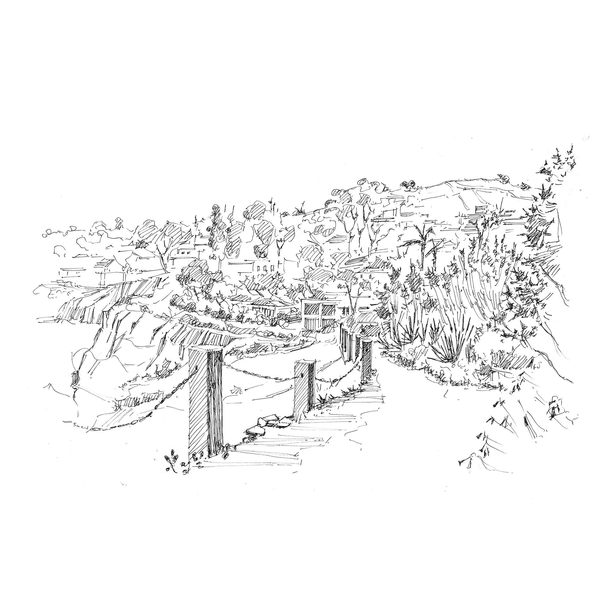 La Jolla Coast Walk Trail Print, San Diego Pen and Ink Drawing - Etsy