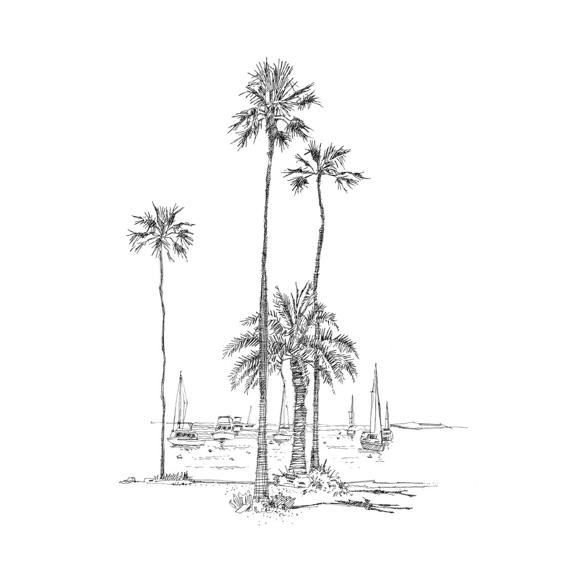 Two Harbors, Catalina Island, Iconic California, Plein Air Pen and Ink ...