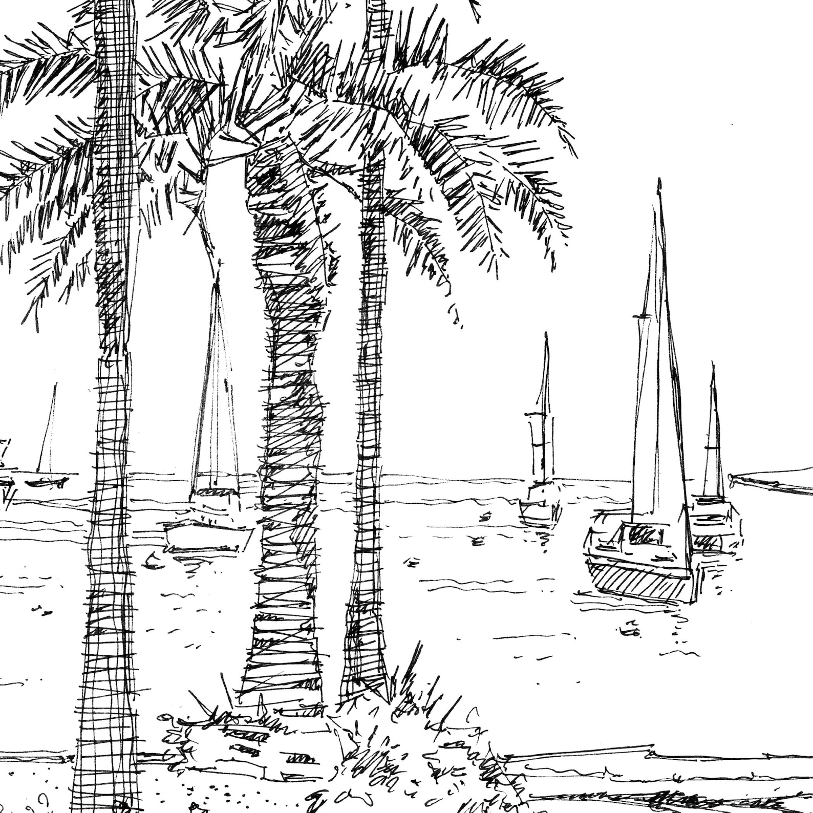 Two Harbors, Catalina Island, Iconic California, Plein Air Pen and Ink ...