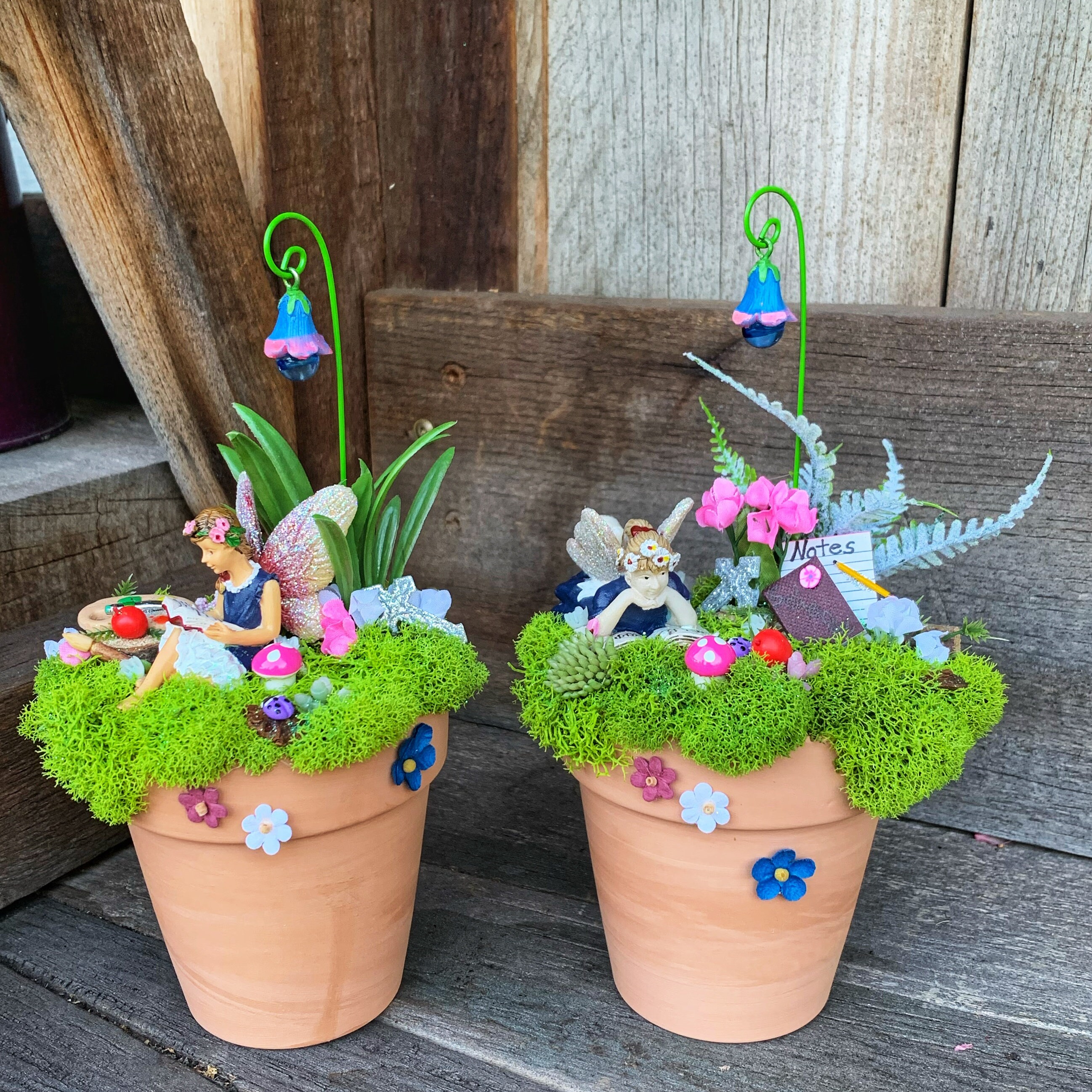 Teacher Fairy Garden: Miniature Desk Decor Gift - Etsy