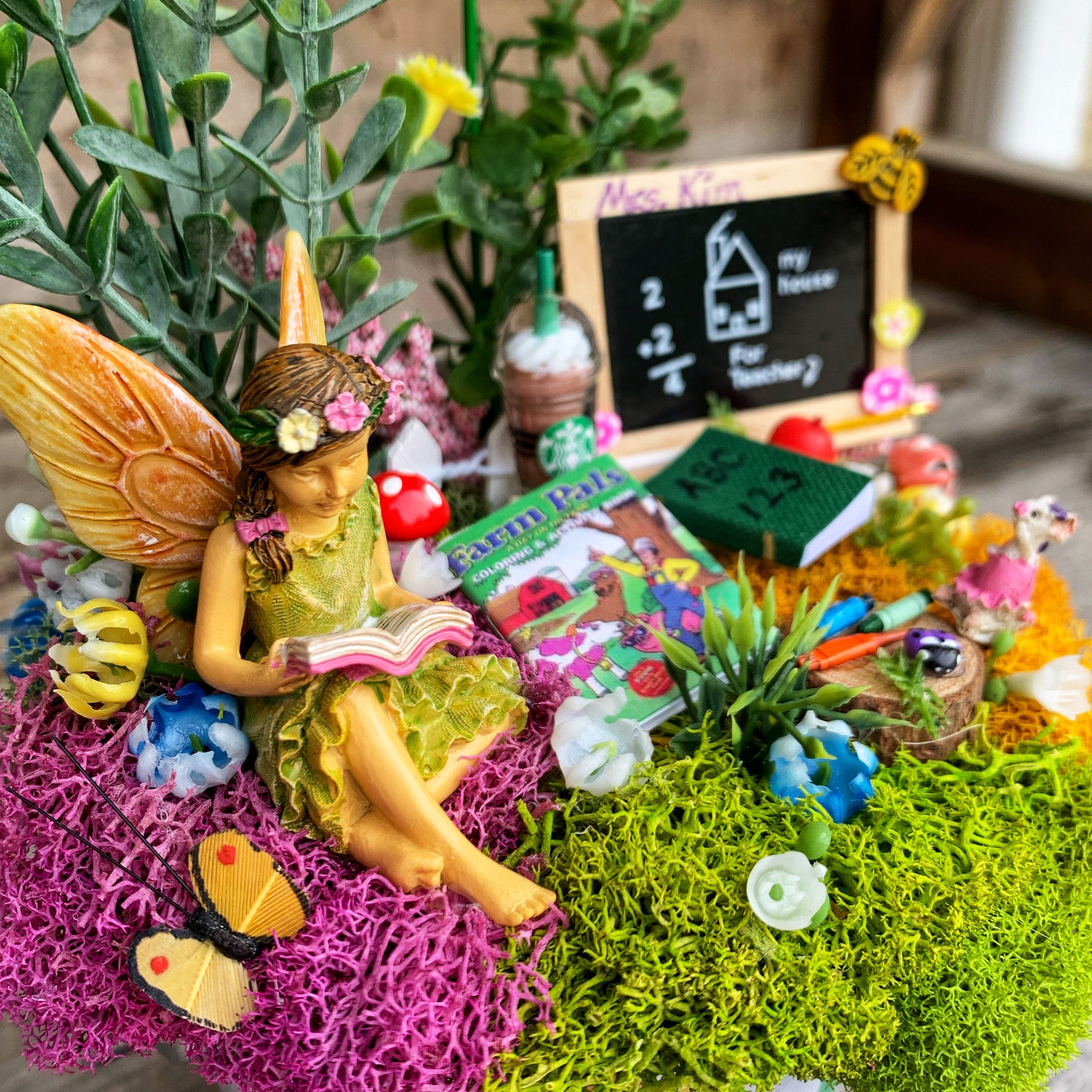 Fairy Garden School Fairy Garden Fairy Garden Complete Kit - Etsy