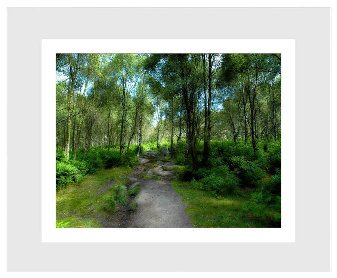 Woodland Path Art Print, Poster, Painting. Signed Limited Edition ...