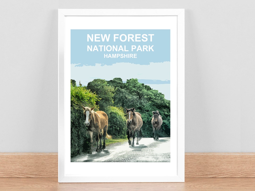 New Forest Art Print / Travel Poster / Picture / Wall Decor. Hand ...